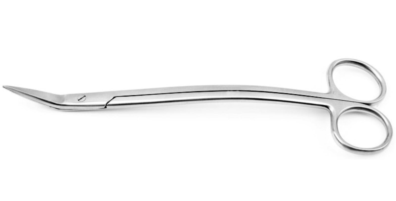 Dentistry Scissors – ProSciTech