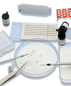 EM TEM – ProSciTech