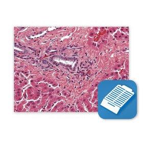 Paraffin tissue processing kit, PELCO BioWave Pro+ – ProSciTech