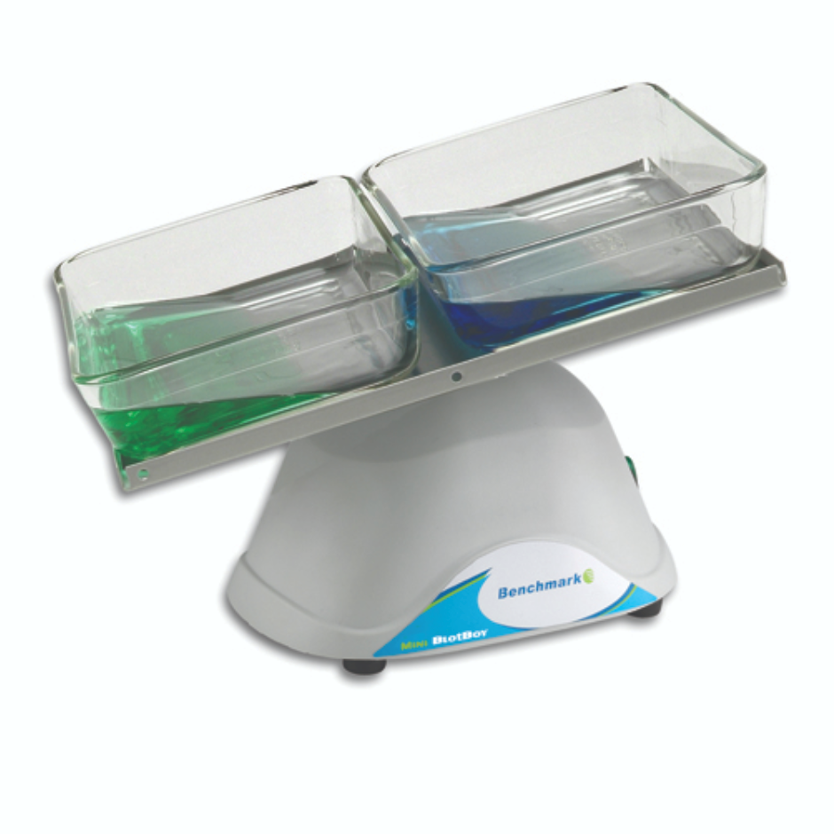 Mini BlotBoy 3D rocker, fixed speed, 230V – ProSciTech