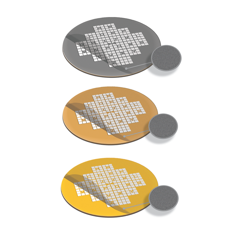 Gilder finder grids, carbon coated – ProSciTech