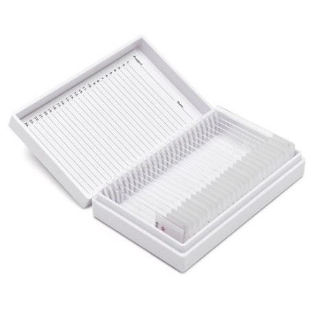 Tissue control microscope slides, helicobacter human – ProSciTech