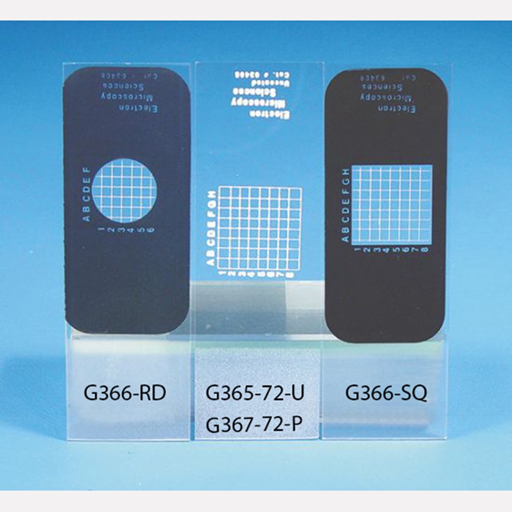 Printed microscope slides, grid indexed (EMS) – ProSciTech