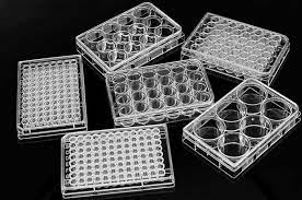 LAB Well Plates – ProSciTech
