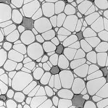 EM Lacey Carbon Coated Grids – ProSciTech