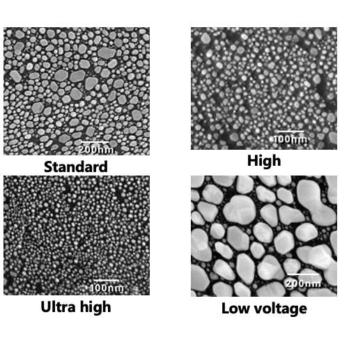 Sem Testes In Situ SEM Nanomechanics With Scanning Probe Microscopy