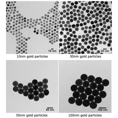 PELCO highly uniform gold microparticles – ProSciTech