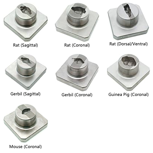 Rodent brain matrices, SS and chrome – ProSciTech