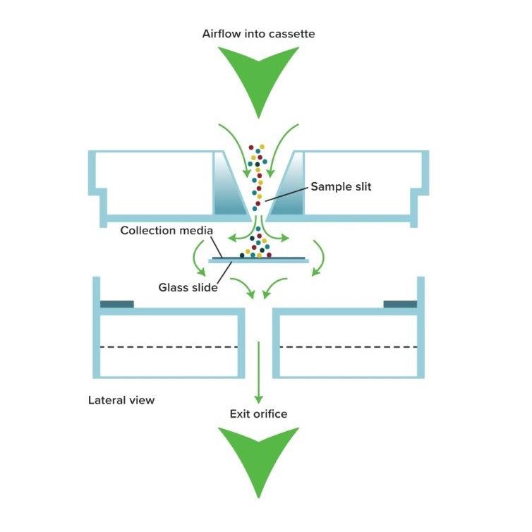 Air-O-Cell air sampling cassettes – ProSciTech