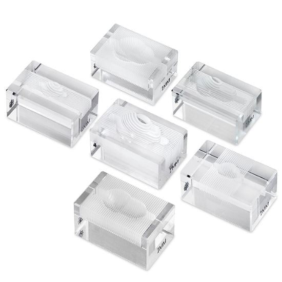 Rodent brain matrices, acrylic (EMS) – ProSciTech