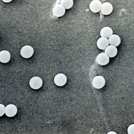 Polystyrene latex suspension, 0.312um – ProSciTech