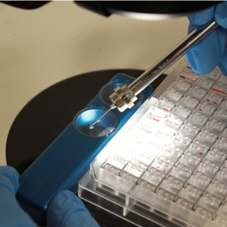 EZ-Stages for crystal transfer – ProSciTech
