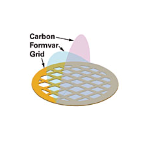 PELCO formvar on light carbon coated grids – ProSciTech