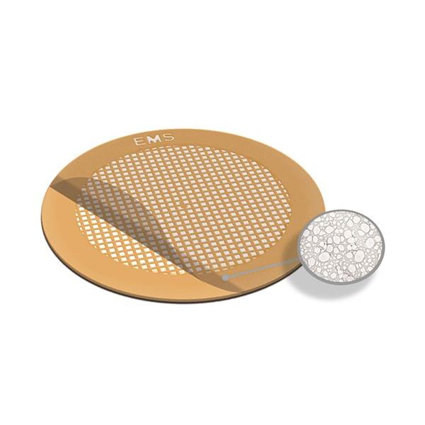 Holey carbon film coated grids, ultra-thin – ProSciTech