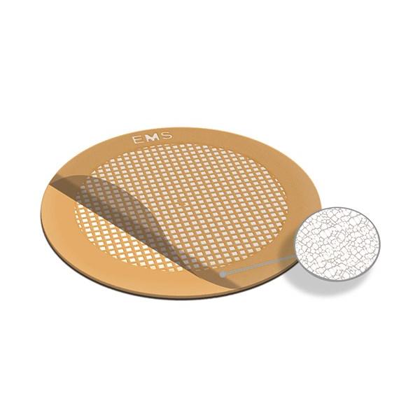 Lacey carbon film coated grids – ProSciTech