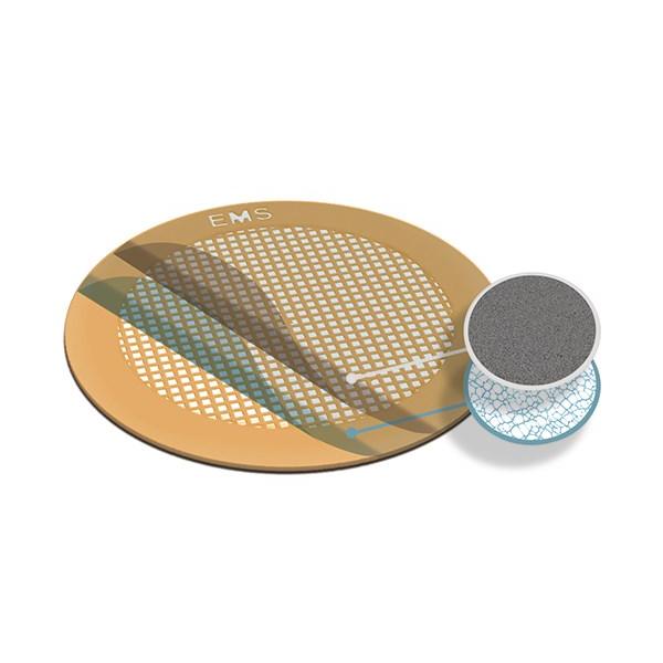 Lacey formvar on carbon film coated grids – ProSciTech