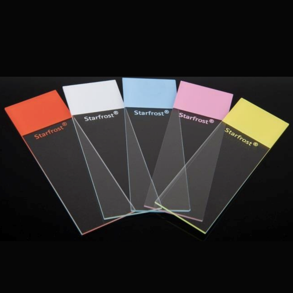 StarFrost platinum line microscope slides, colour coded – ProSciTech