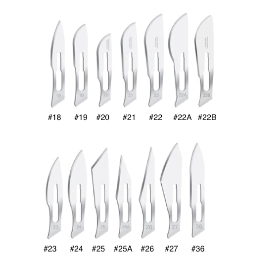 Carbon steel scalpel blades for No. 4 handles – ProSciTech