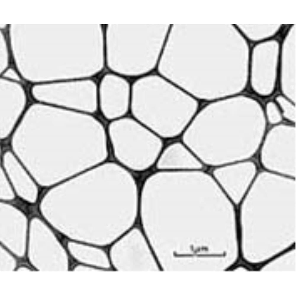 PELCO formvar on lacey carbon coated grids – ProSciTech