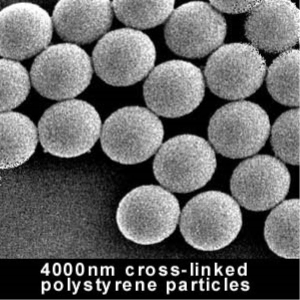 Latex flow cytometry particles 0.1% – ProSciTech