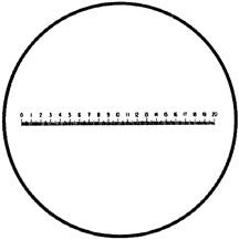 Scale reticles for measuring magnifiers, No.8 – ProSciTech