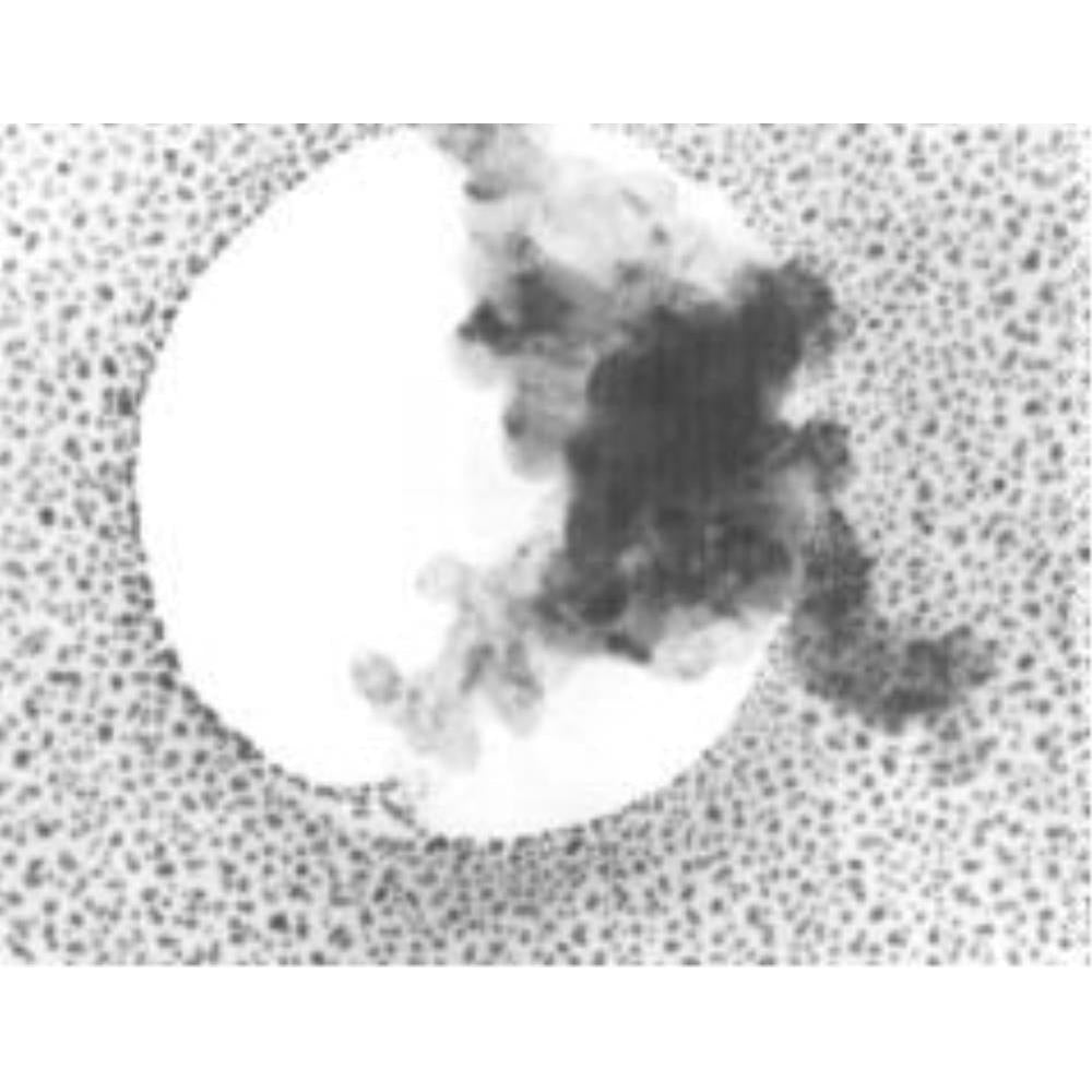 TEM calibration specimen, gold and graphitised carbon – ProSciTech